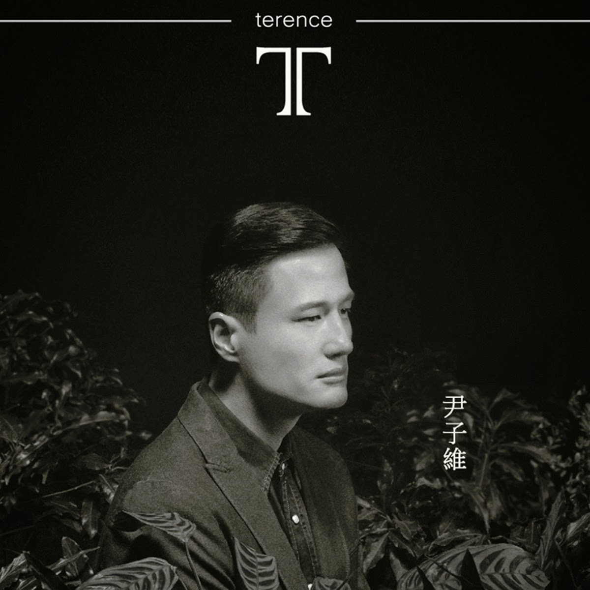 Terence Yin - T - iHonHon