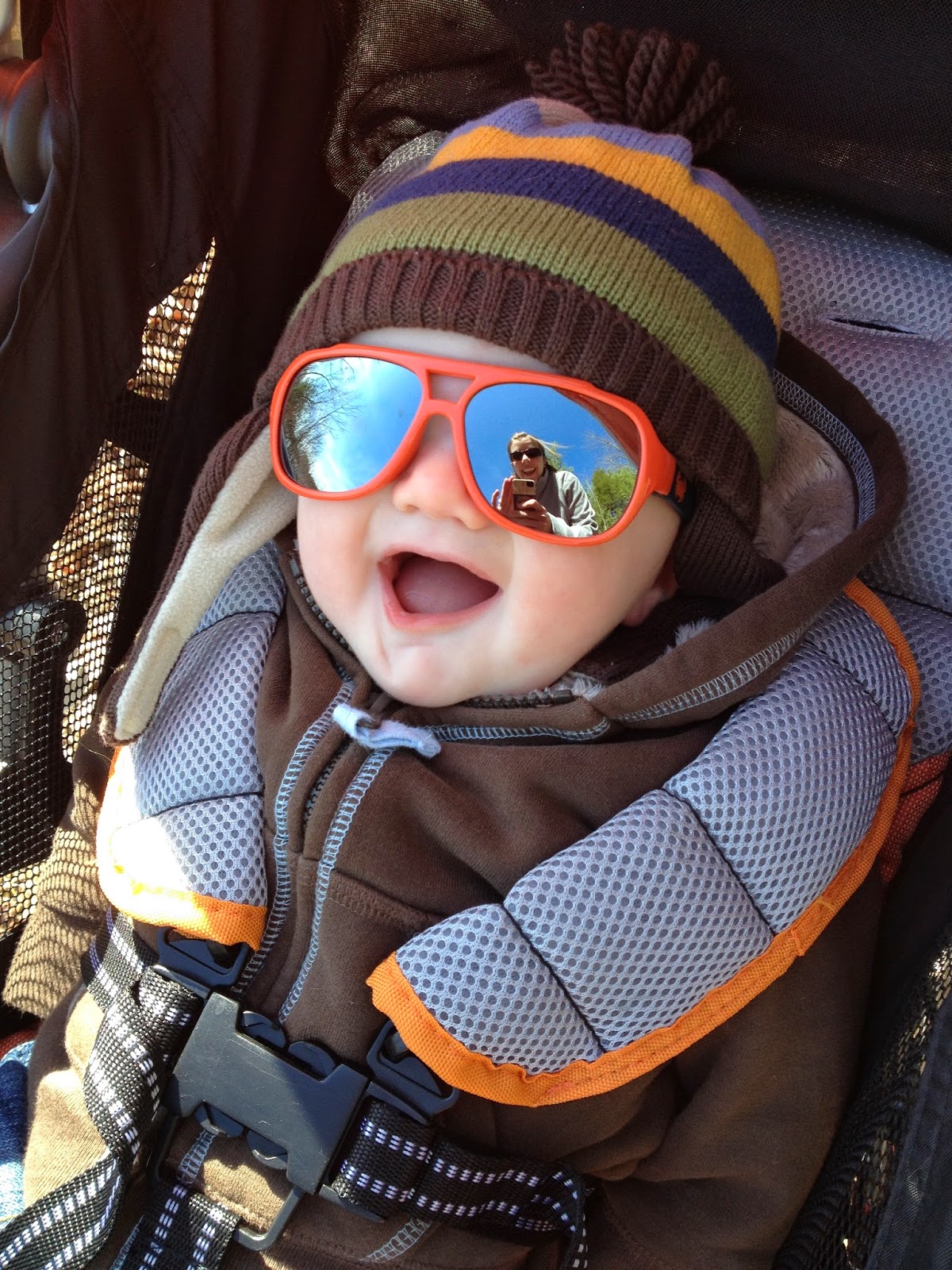 The Chronicles of Sully: Sully's First Off-Road Adventure