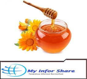 Beragam Manfaat Madu dan Air Madu - MIF