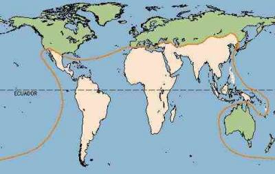 Los derechos del niño en el tercer mundo