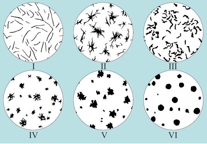 malayasteel: GRAPHITE STRUCTURES IN CAST IRONS: GRAPHITE FORMS