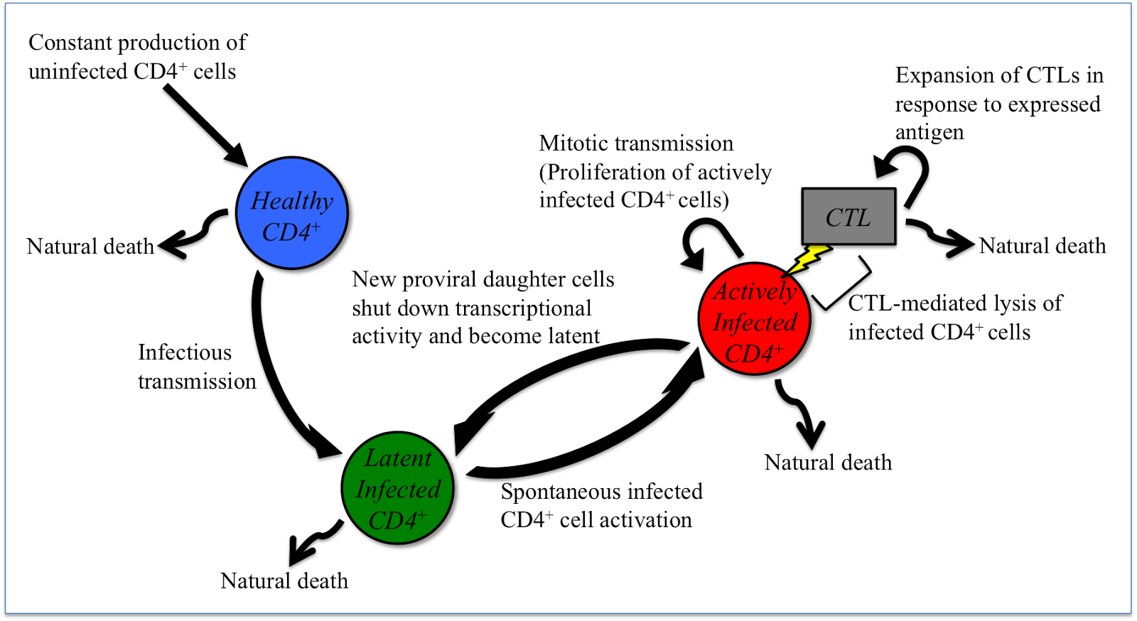 WCMBlog: Understanding the host-virus interaction in chronic HTLV-I ...