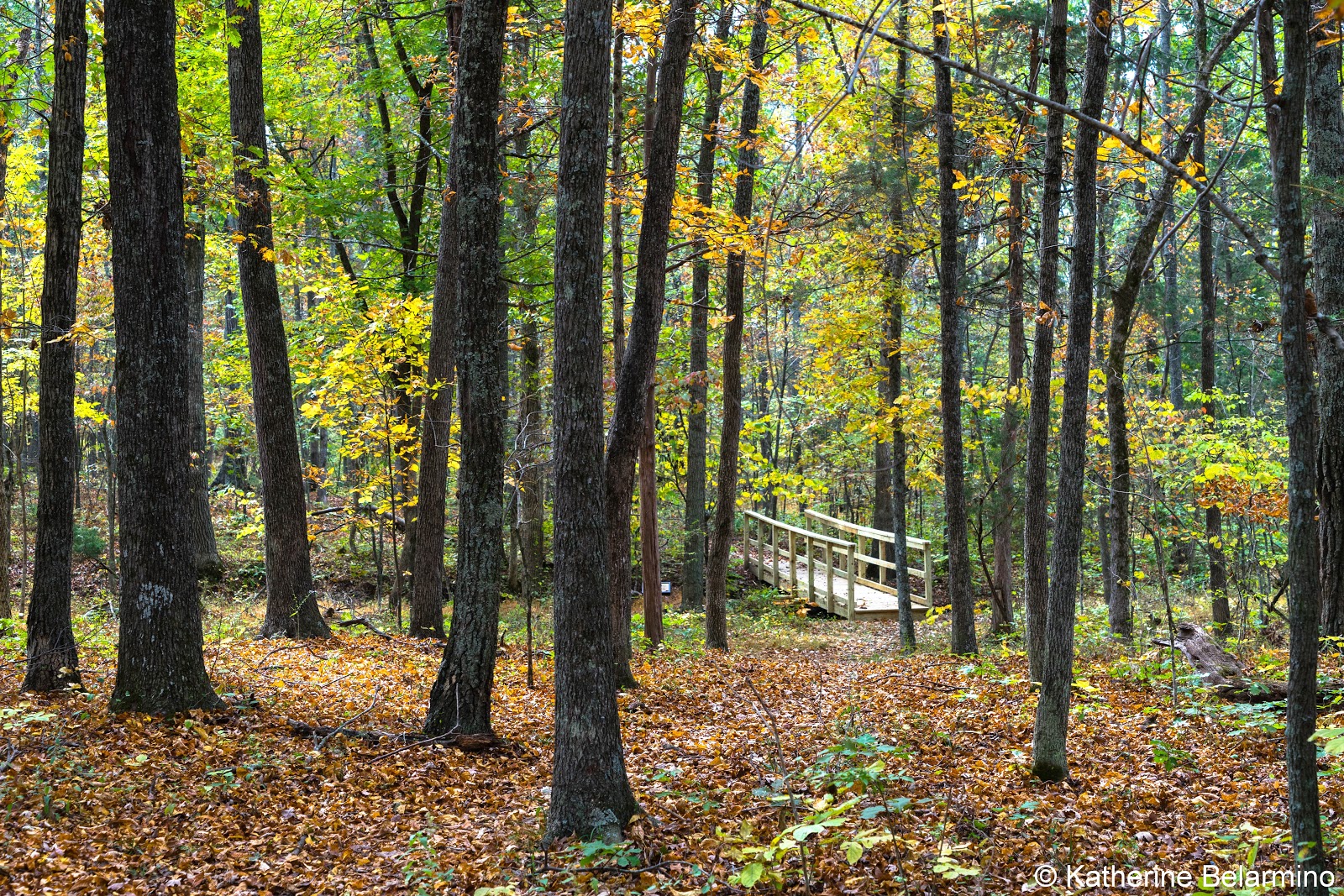 3 Great Places for Outdoor Activities in Northern Virginia | Travel the ...
