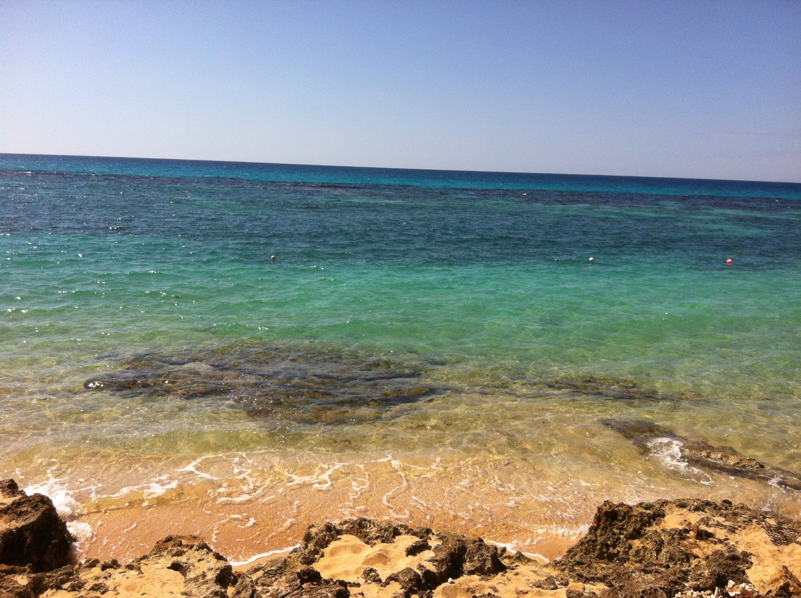 Life in the Tash lane: Team Canada kills it in Jamaica!