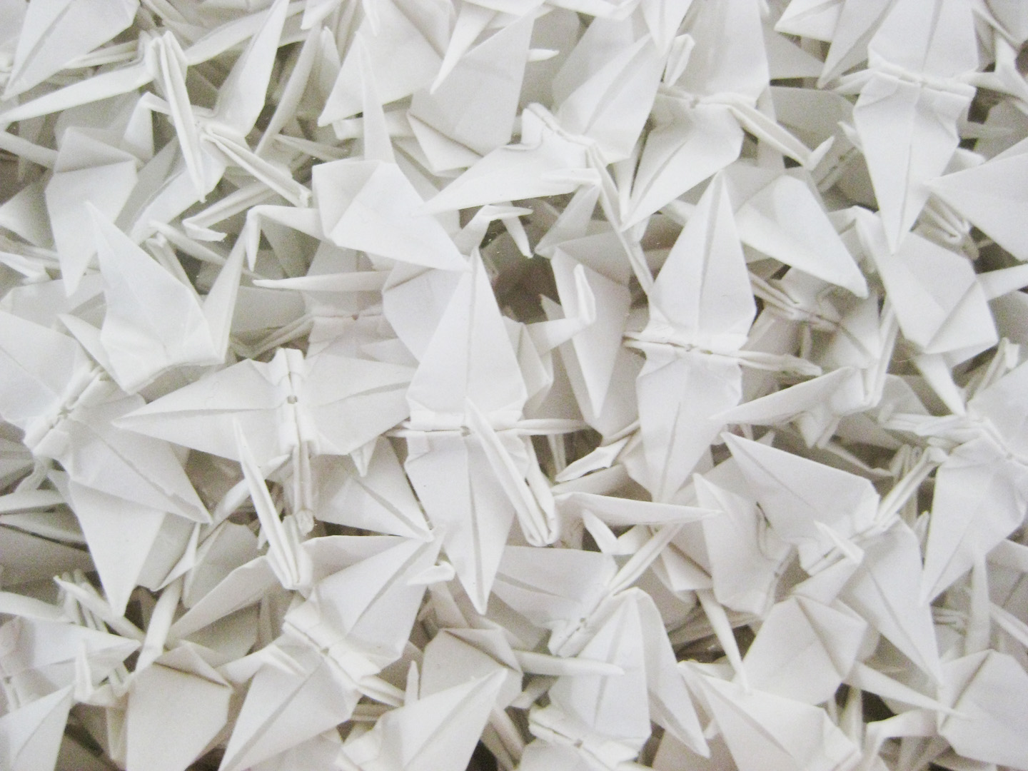 Emily Van Hoff 1000 Paper Cranes emily-van-hoff-1000-paper-cranes