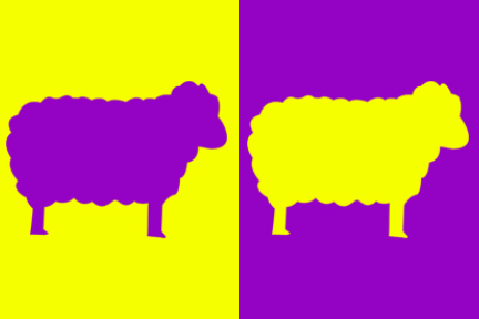 Taller de Fundamentos del Diseño I: TEORIA DEL COLOR