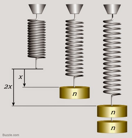 Hooke's Law blog