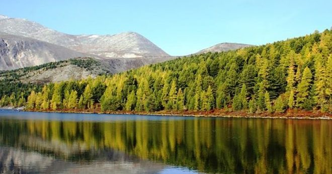 GEOGRAFÍA - Primer año: TAIGA