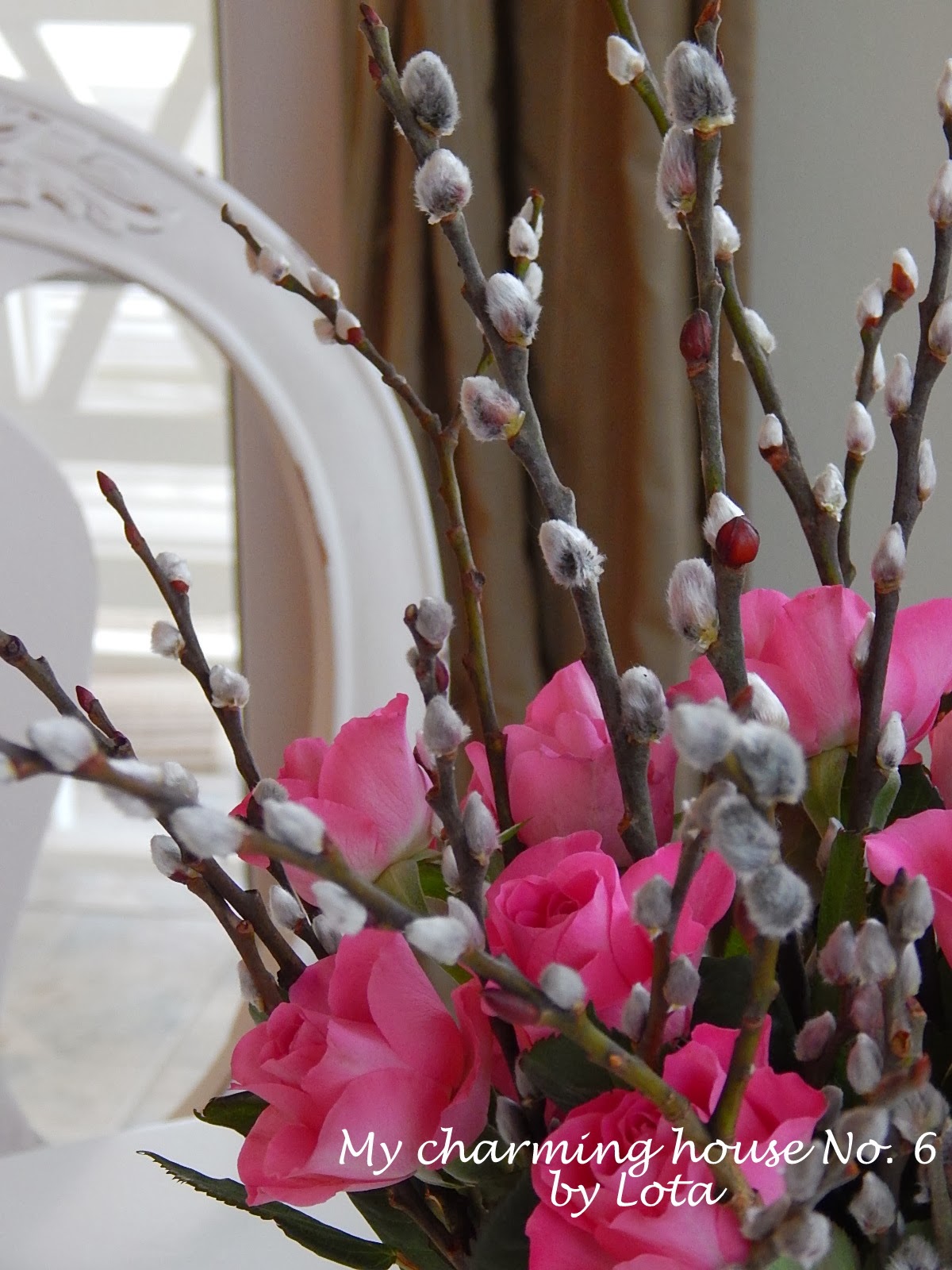 Cica mace - My charming house No 6