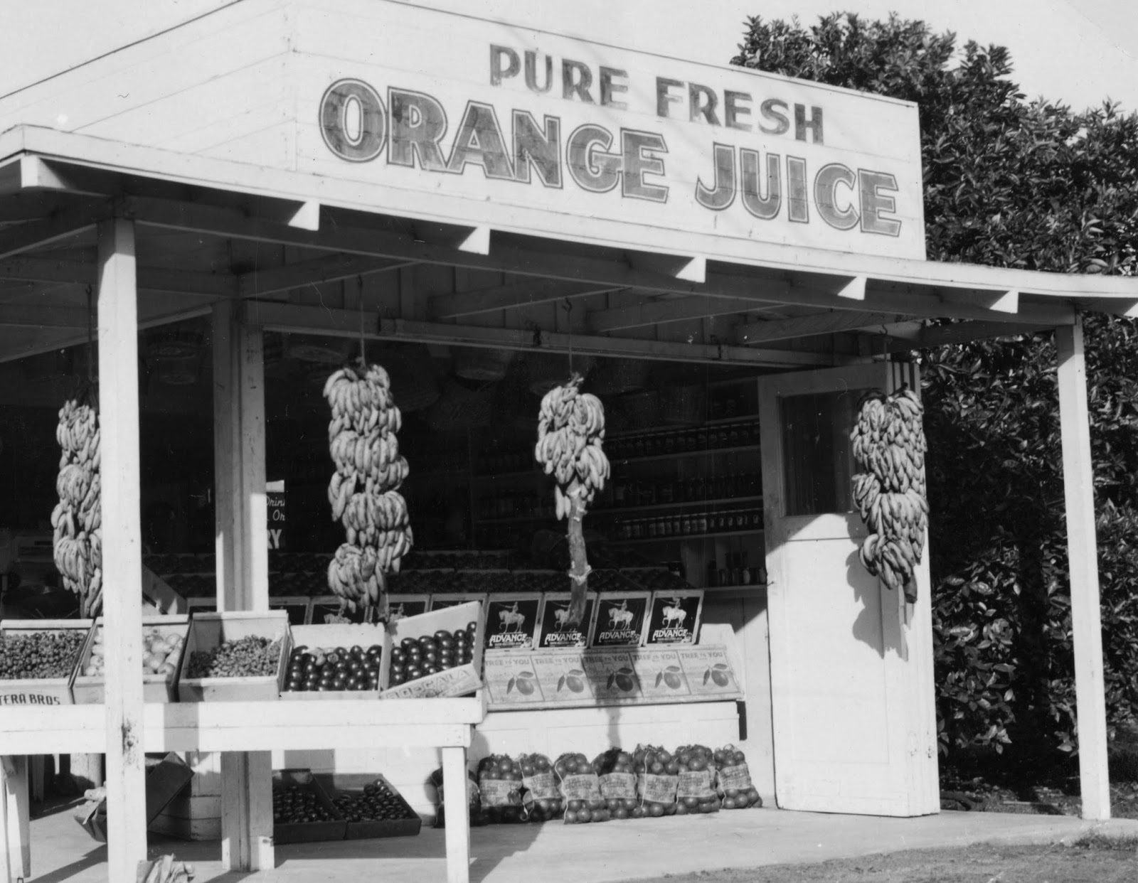 O.C. History Roundup: Orange County citrus crate labels