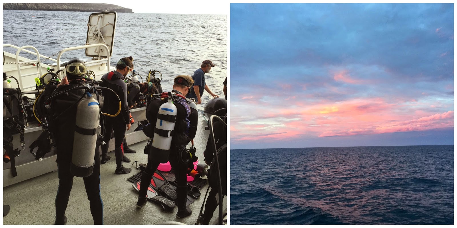 Chef at Sea: How to Keep 23 Hungry Scuba Divers Satisfied – Diary of a ...