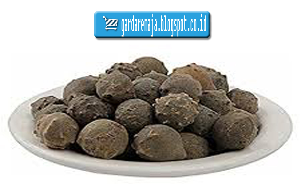 Berbagai Manfaat Manjakani (Quercus Infectoria / Quercus Lusitanica ...