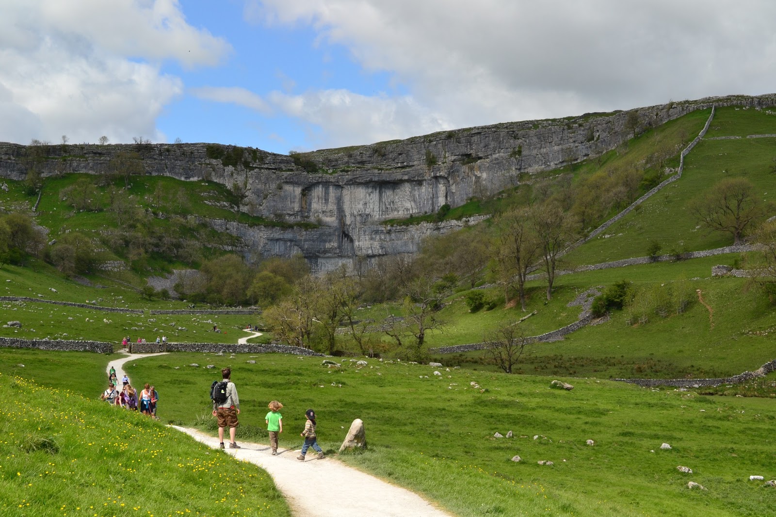 The Mucky Root: Malham Cove - spring.