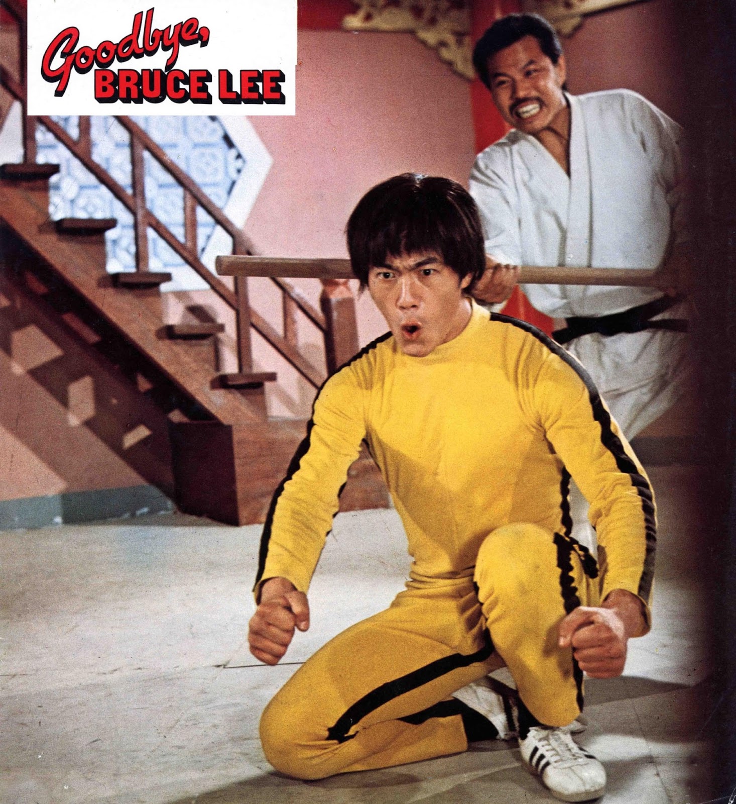 LE PLEIN DE SUPER: Bruceploitation - Goodbye Bruce Lee: His Last Game ...