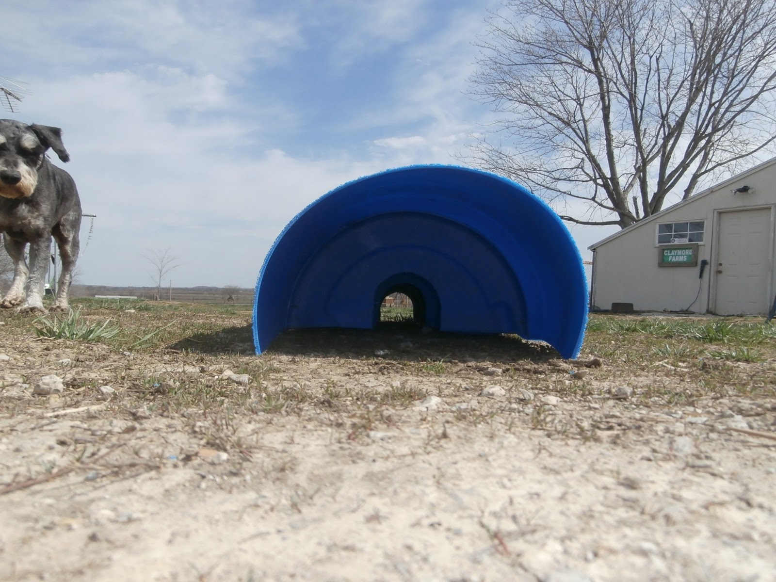 recycled homesteading : The gravel less septic system we came up with....