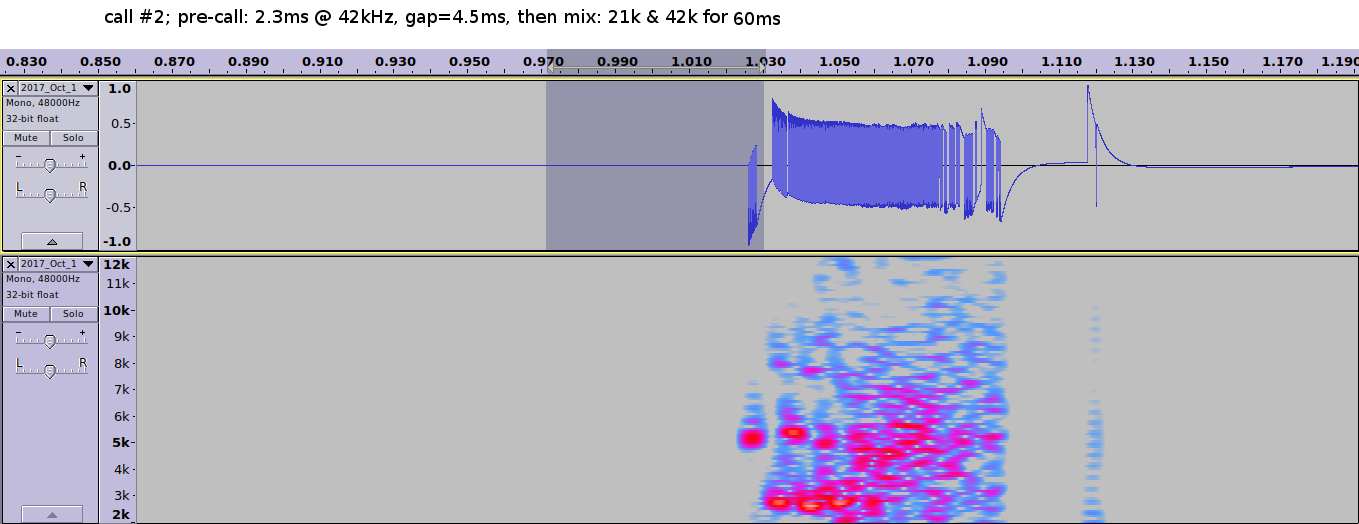 Captain Bodgit: Bat Call Analysis: more difficult than it looks!