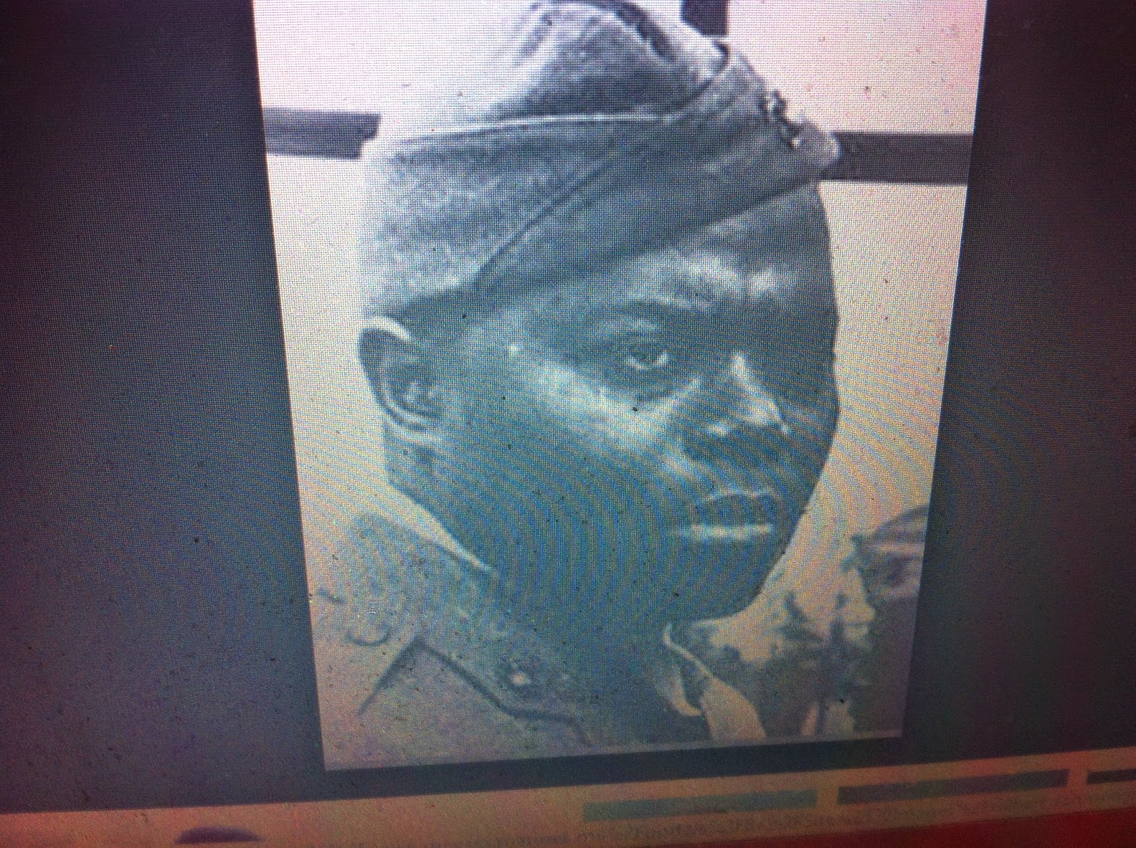 THE BLACK SOCIAL HISTORY:: BLACK SOCIAL HISTORY : AFRICAN AMERICAN ...