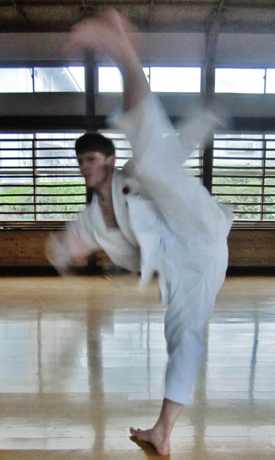 André Bertel's Karate-Do: August 2013