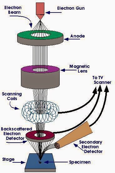 Tentang Alat Uji -- SEM (Scanning Electron Microscopy)