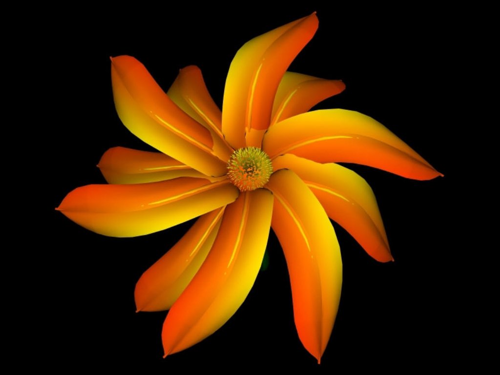 Home: FLAWERs IN WORLD