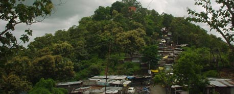 On auspicious occasions like Navaratris, Datta Pournima; Mahapuja is ...