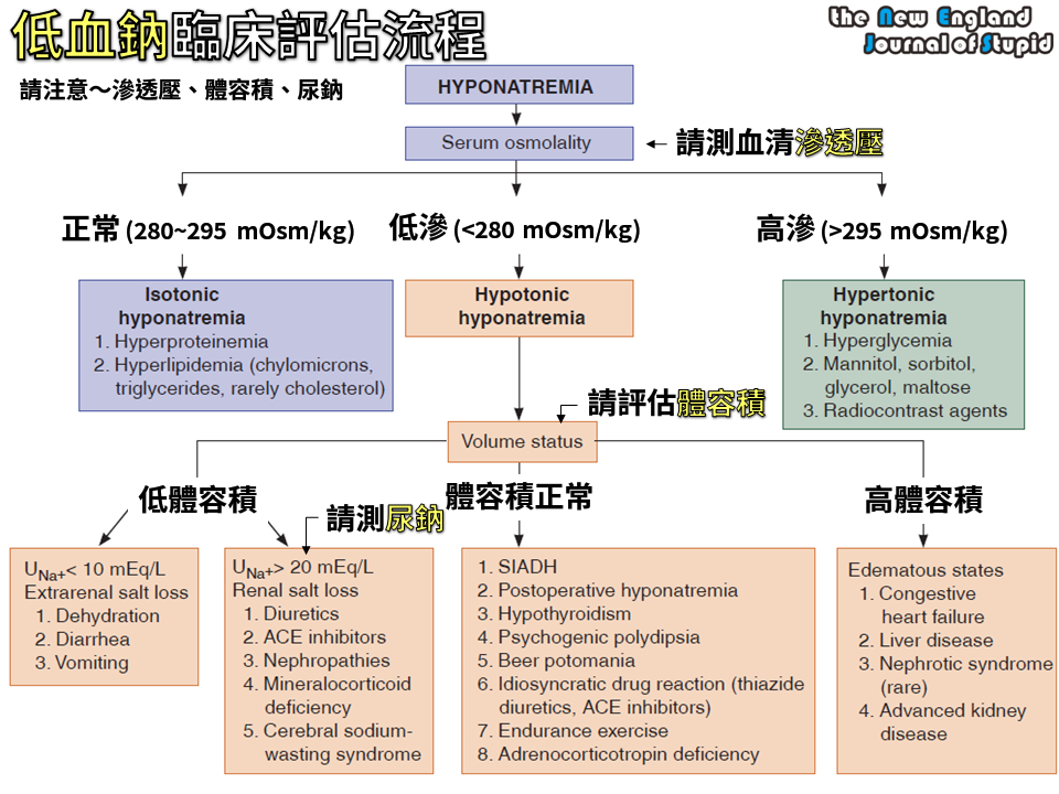 [臨床藥學] 別再為低血鈉 (hyponatremia) 頭痛囉！低血鈉臨床評估流程～ - NEJS