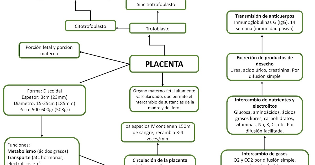 Mónica Daniela Orduño Pérez gineco2016grupo13: ANATÓMIA Y FISIOLÓGIA DE ...