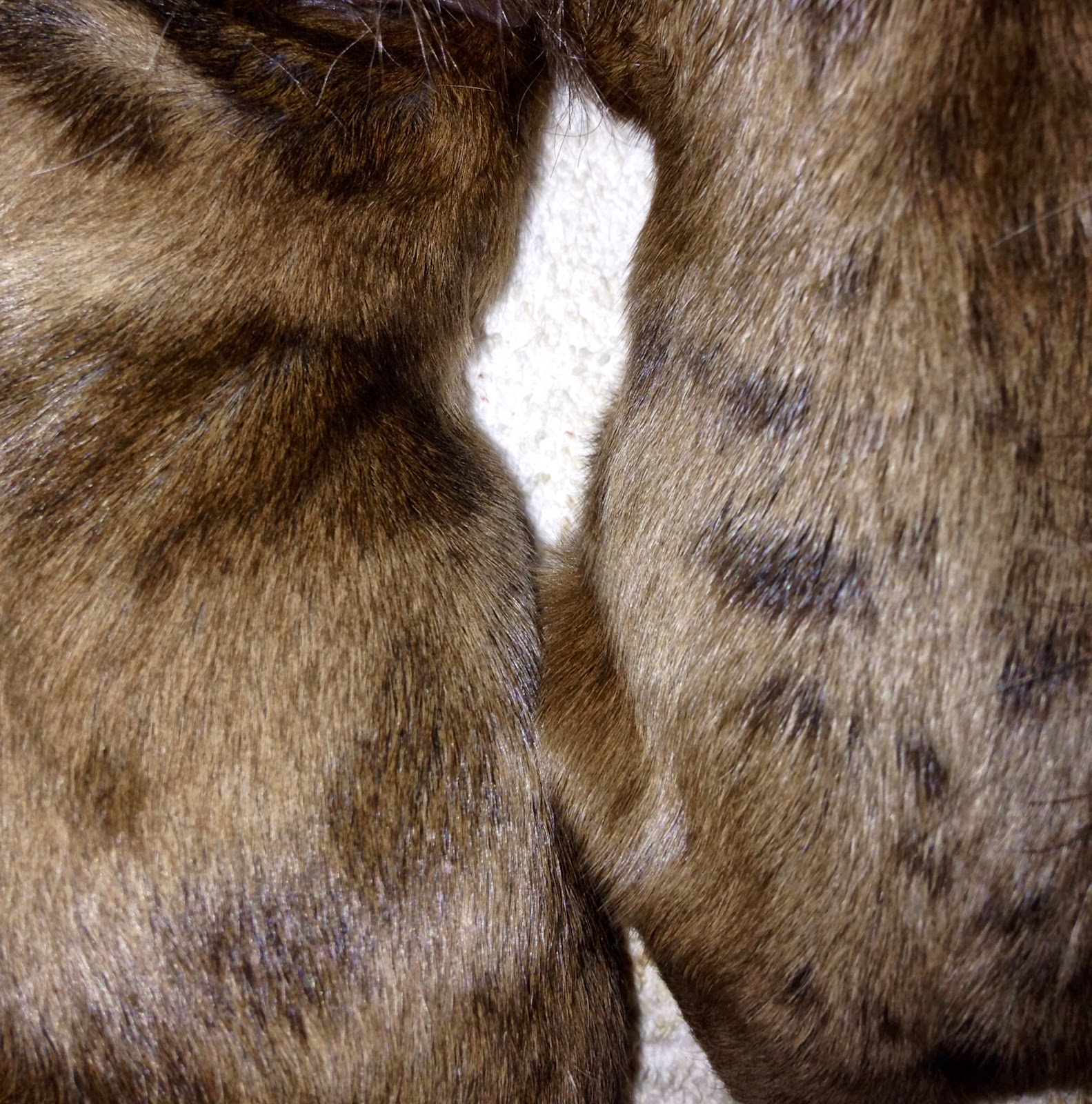 The Original Merle Shih Poo