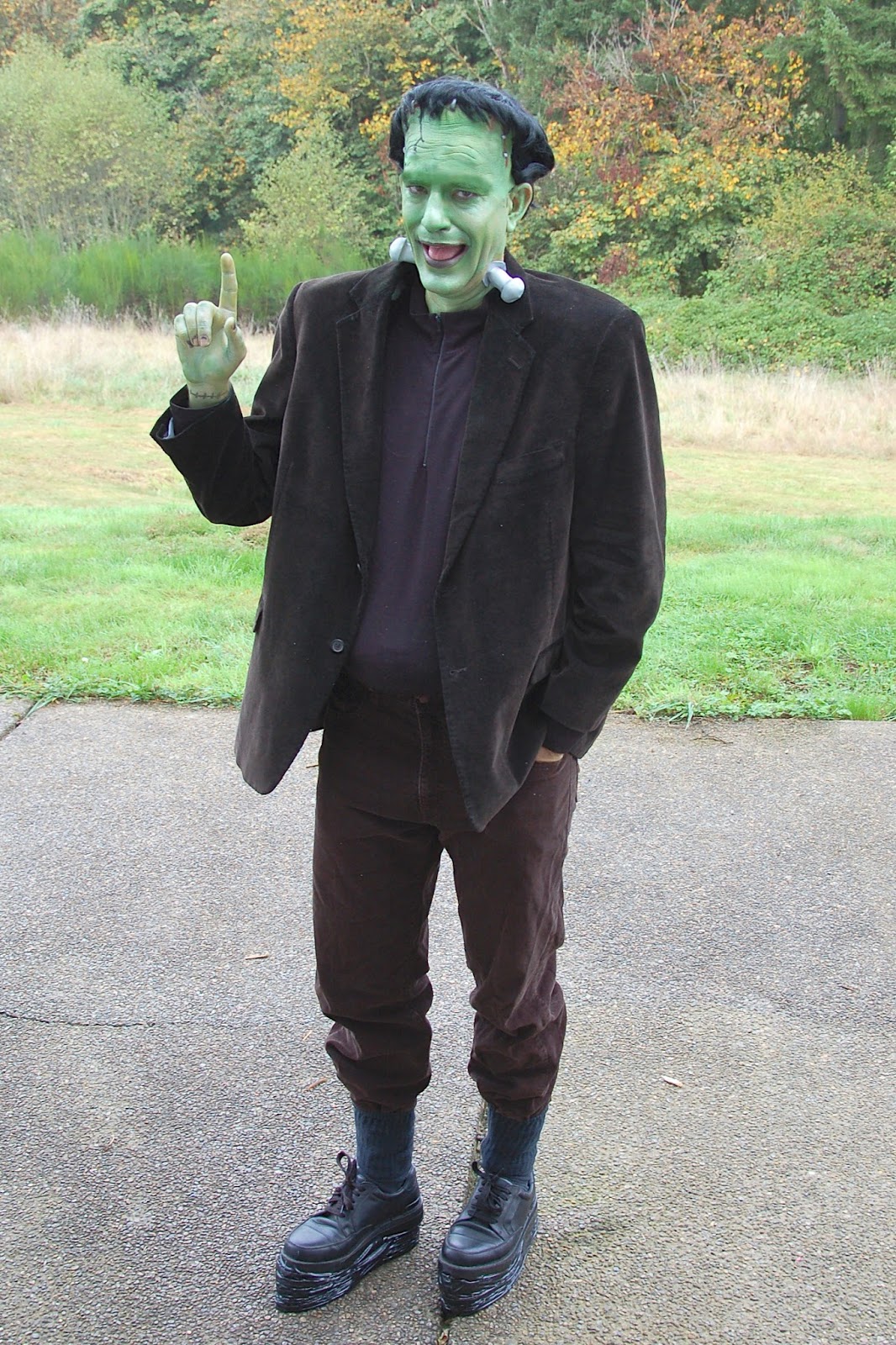 FLIPZLES: Halloween - Family Costume Style