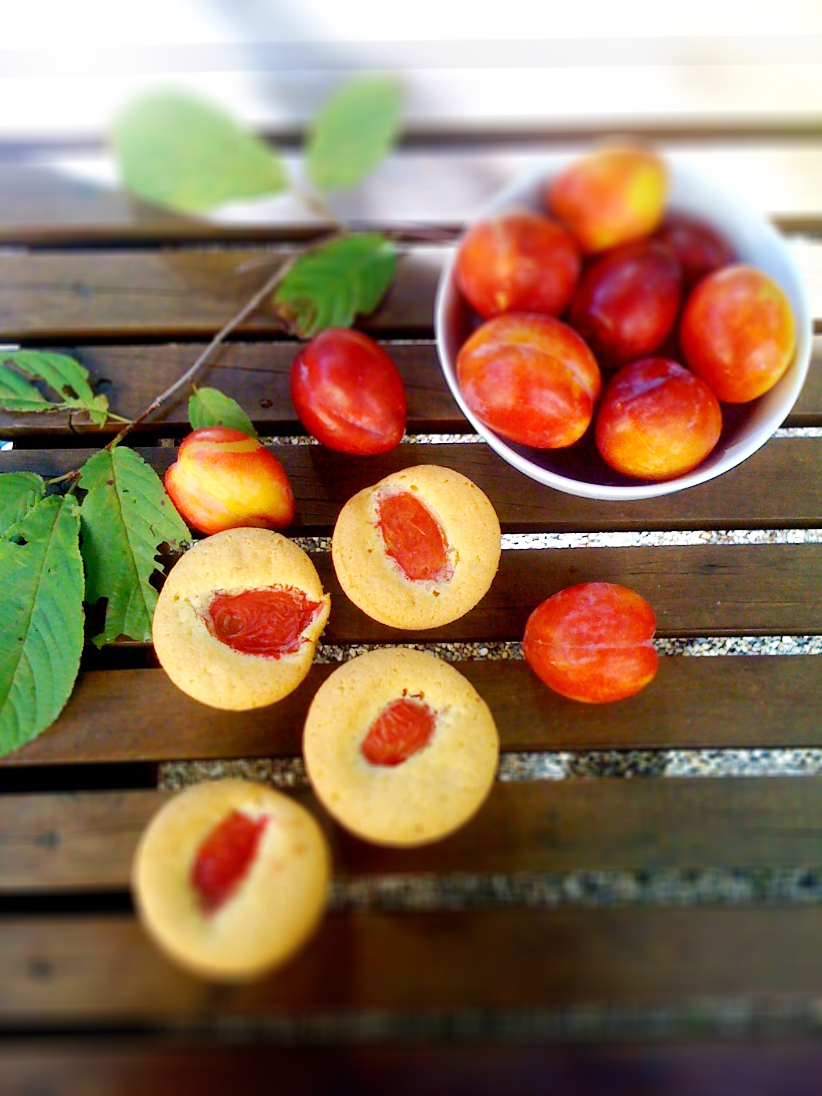 Alessandra Zecchini: Louise Plum Cupcakes, perfect for summer and Sweet ...