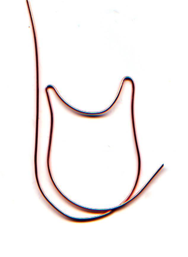 WireWorkers Guild: CAT Project