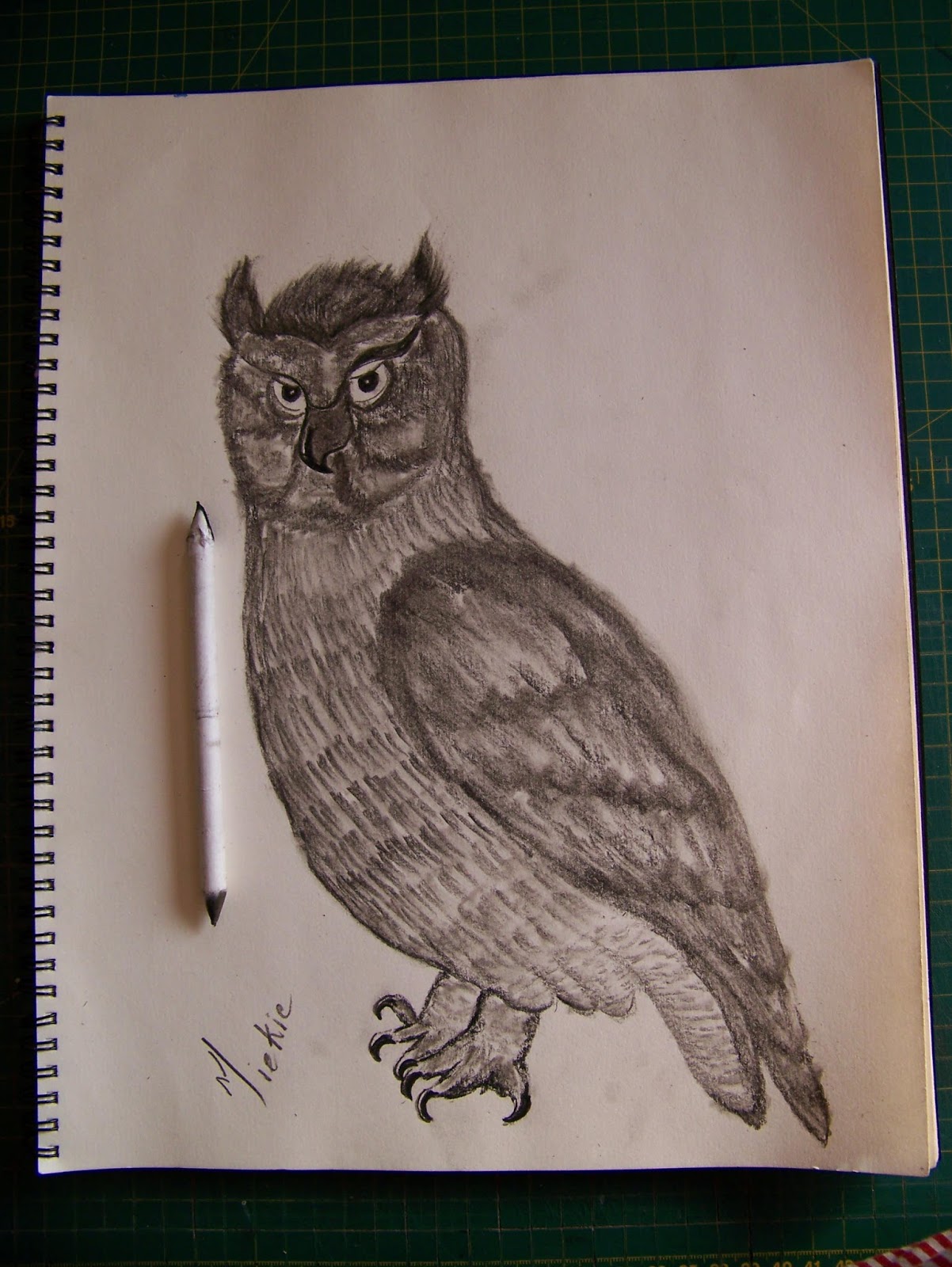A Pretty Talent Blog: Learn to draw an almost realistic owl step by step