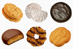 Troop Leader Mom: Getting Started with Girl Scout Daisies, Brownies ...