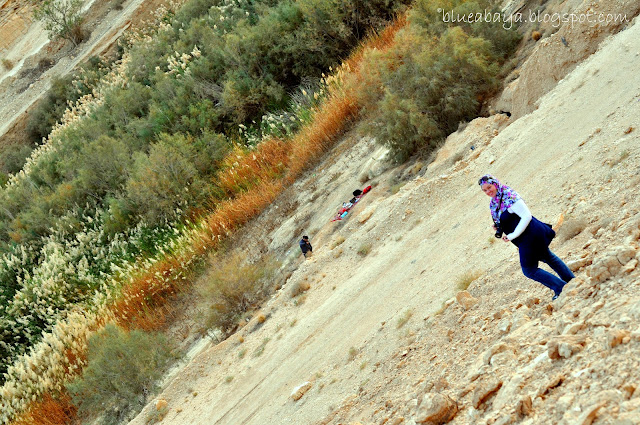 The Secret Lake - Blue Abaya