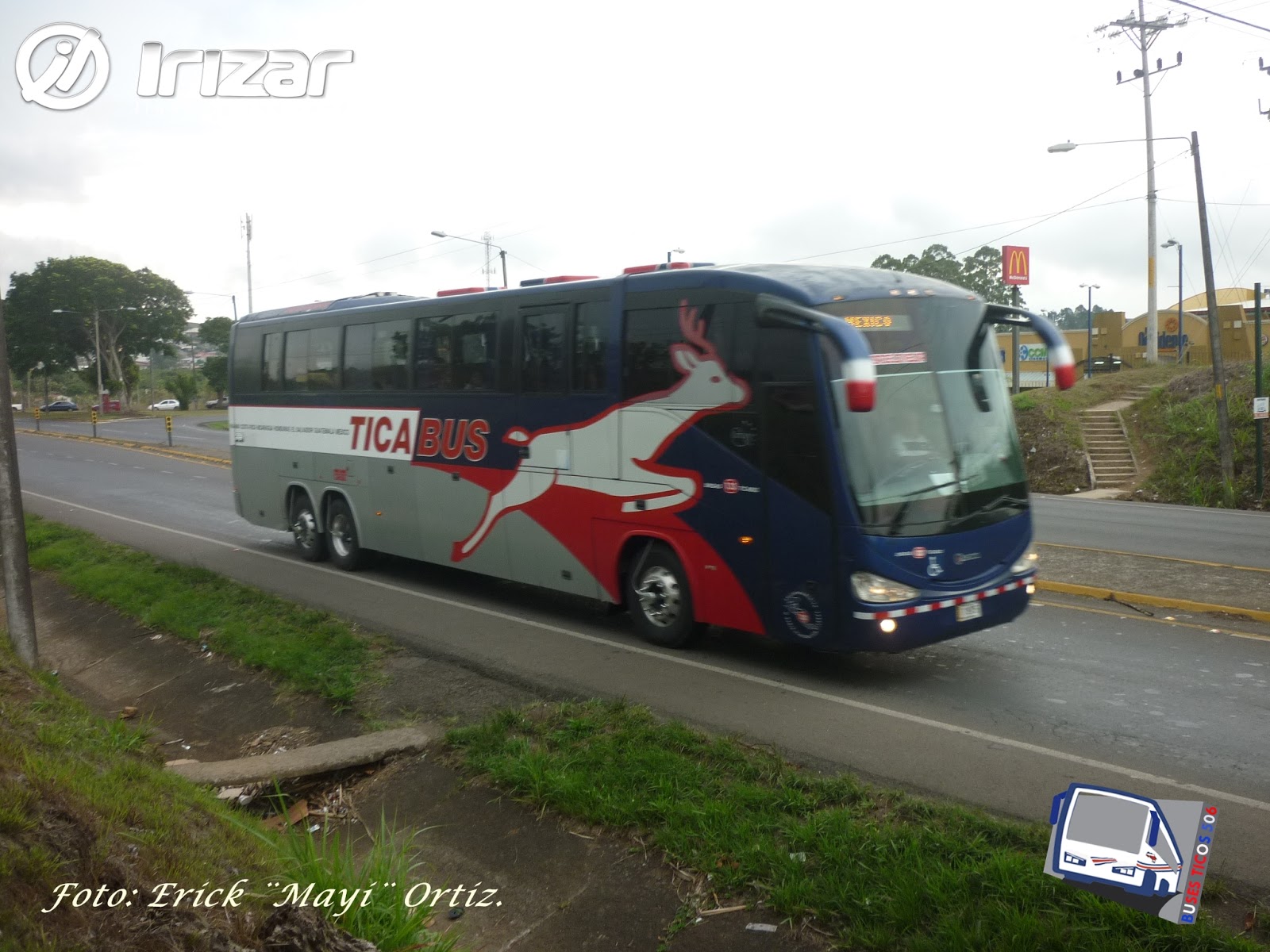 BUSES TICOS: 8va GALERIA - 2016