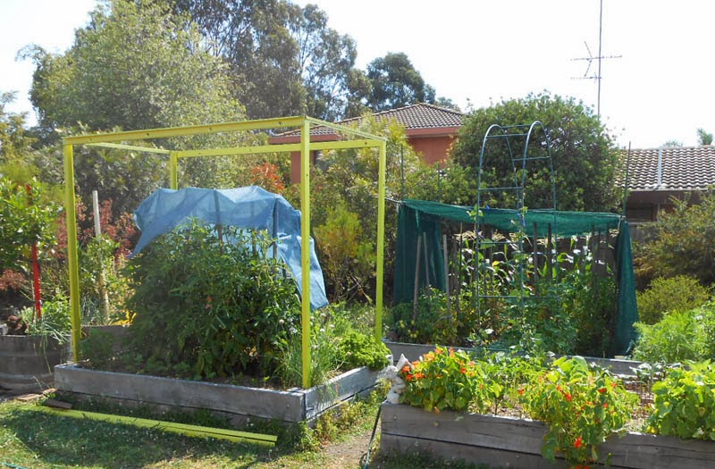 Chloe's Gardens: Shade and Bird Netting Structures