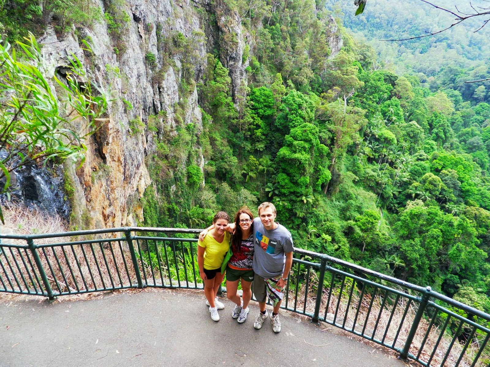 Brad & Jods Australian Adventures: Springbrook National Park - Natural ...