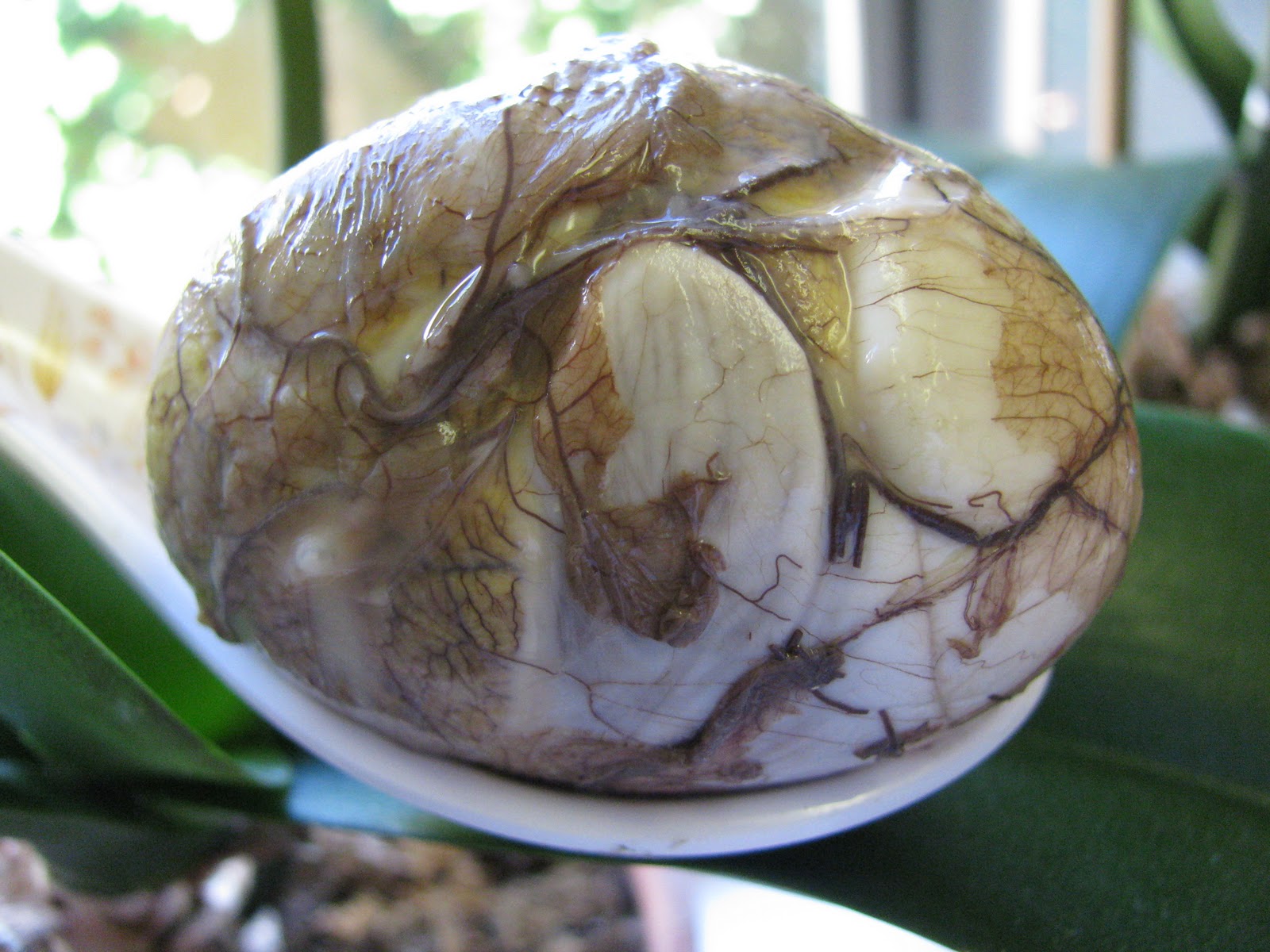 PASSION ON THE STOVE TOP: Adobong Balut (Duck Egg)