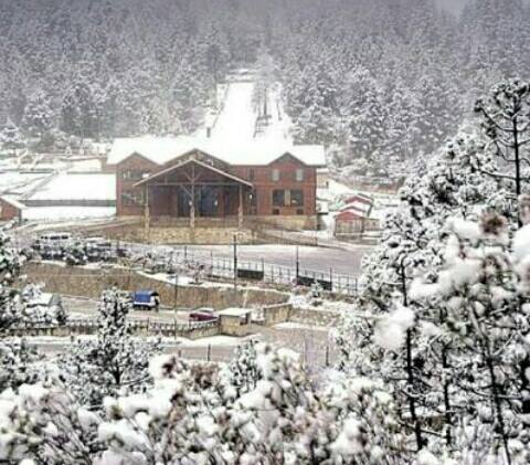 Tu guía por México: MONTERREAL
