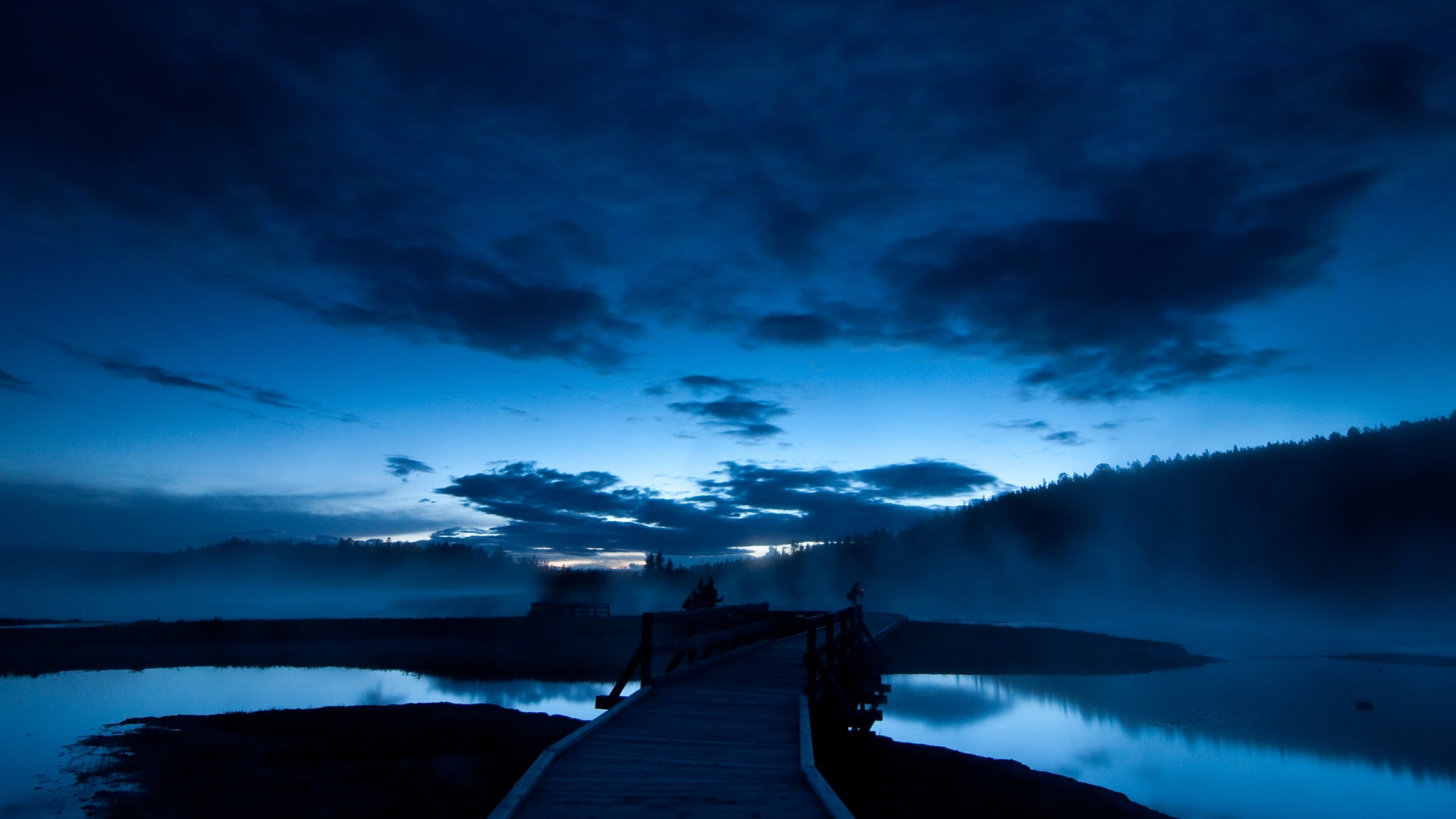 Forest Dark Night - High Definition Wallpapers - HD wallpapers