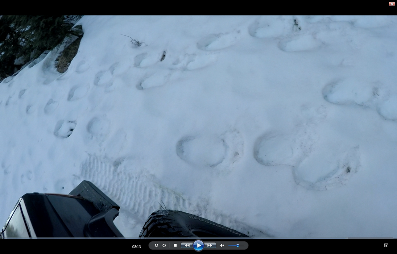 My Miniature Madness: Sasquatch Chronicles