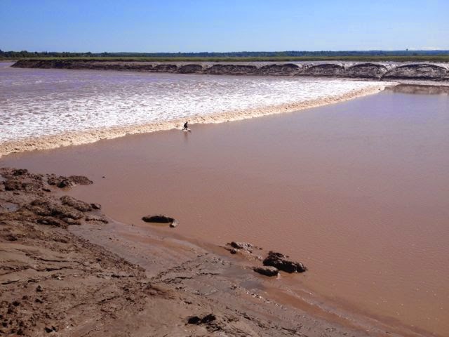 journal illustrations and musings: Here, my friends, is the Chocolate ...