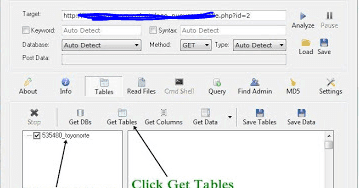 Code: Havij, an SQL Injection Interface