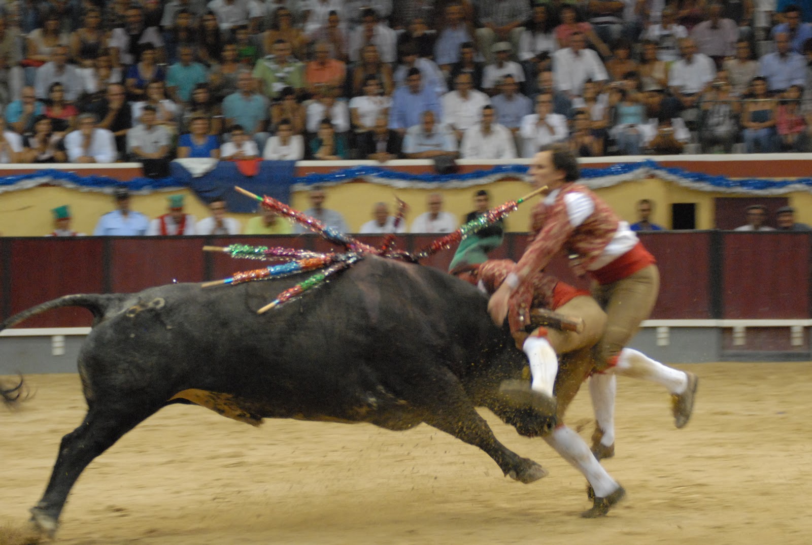 Voz Ribatejana: Grupo de Forcados de Vila Franca homenageado aos 80 anos