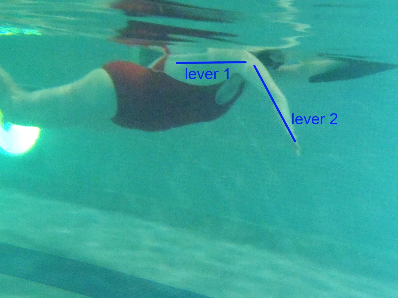 Freestyle drills | Ottawa Sharks Masters Swim Club