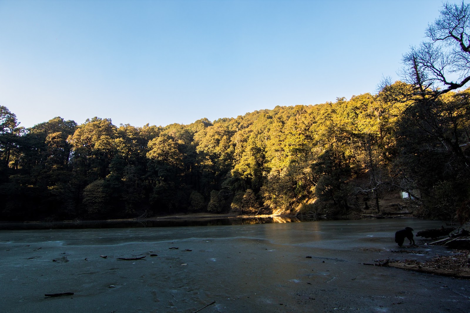 A spectacular Himalayan Winter Trek- Brahmatal Trek