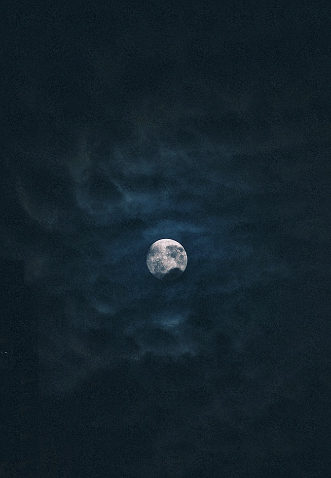 MEOW COSMETICS | FLAWLESS FELINE MINERAL FOUNDATION | Ewa Szałkowska ...