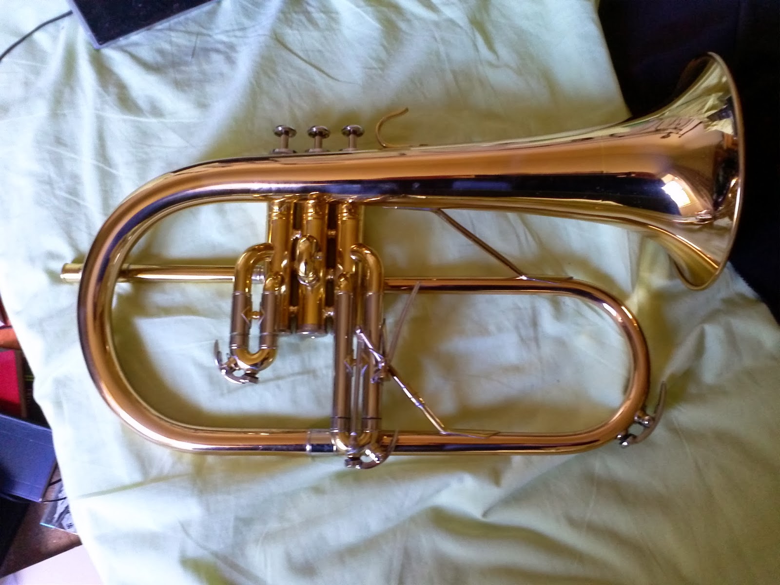 A View Over the Bell: My Horns No. 6 - Weril Regium II Flugelhorn