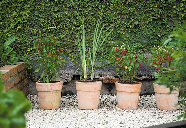 ESTILO RUSTICO: Maceteros Rusticos