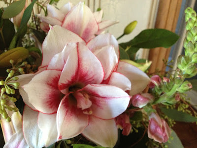 P O T A G E R: Flower Power